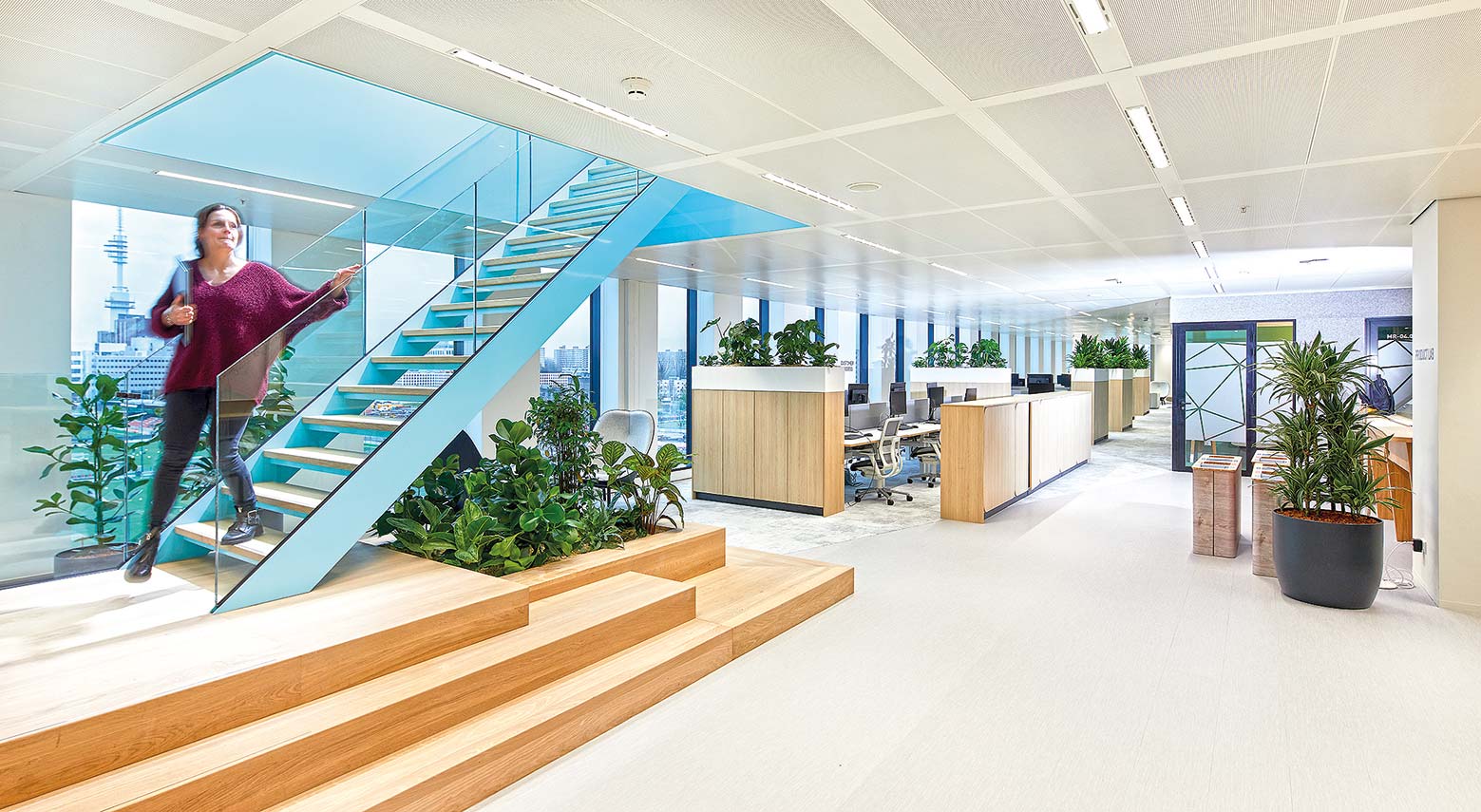 Bridgestone Mobility Solutions - DITT